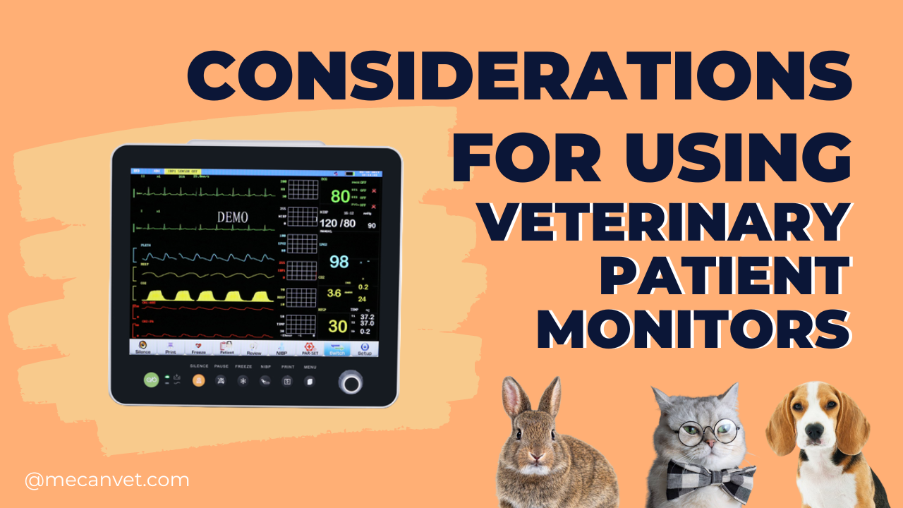 Veterinary Monitor Usage Guide